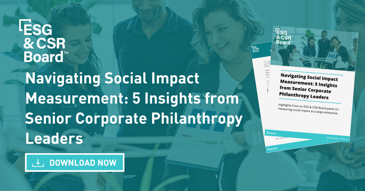 Navigating Social Impact Measurement: 5 Insights from Senior Corporate ...